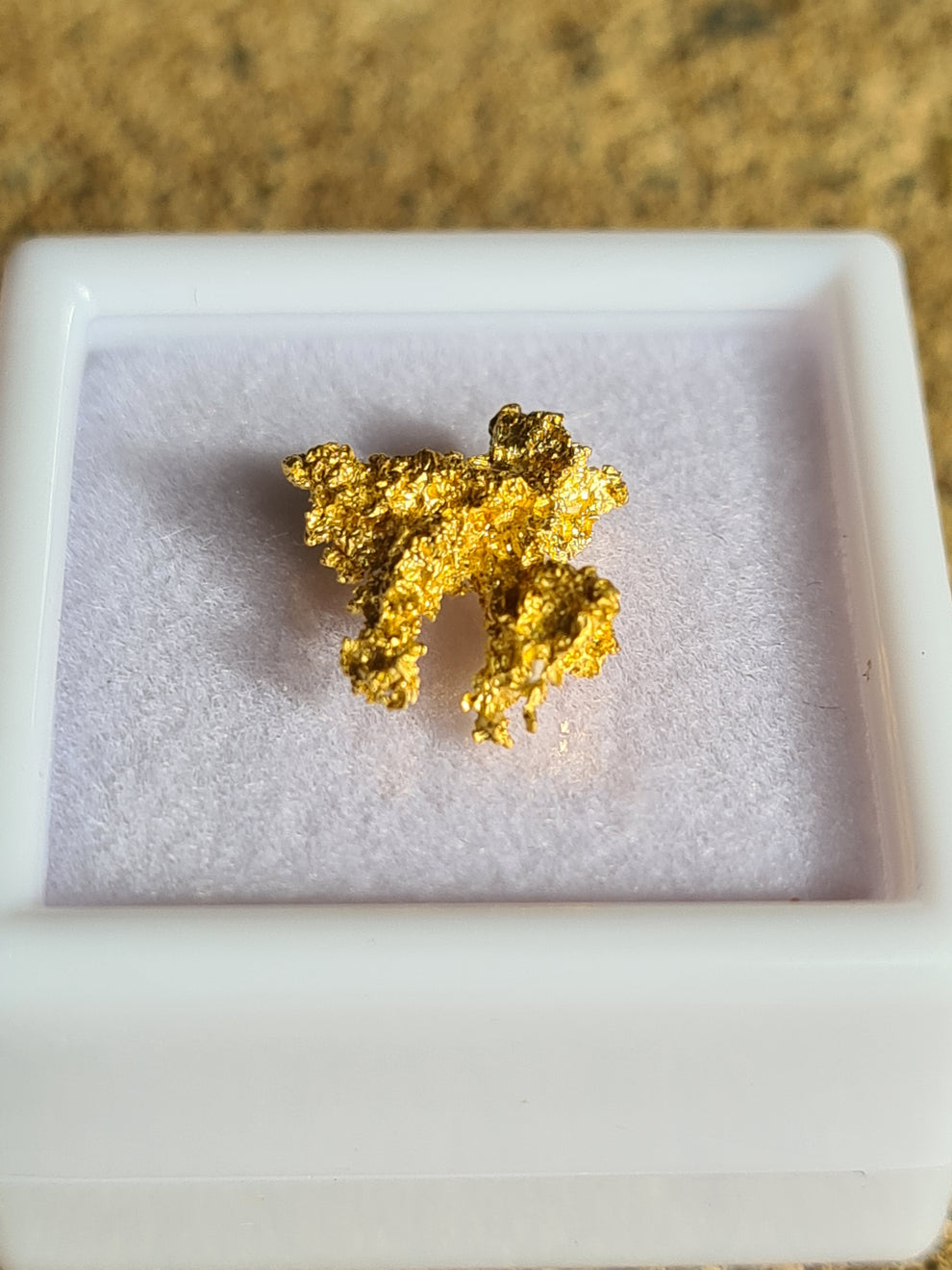 Gold Nugget 1.16g – Dadbod Prospecting